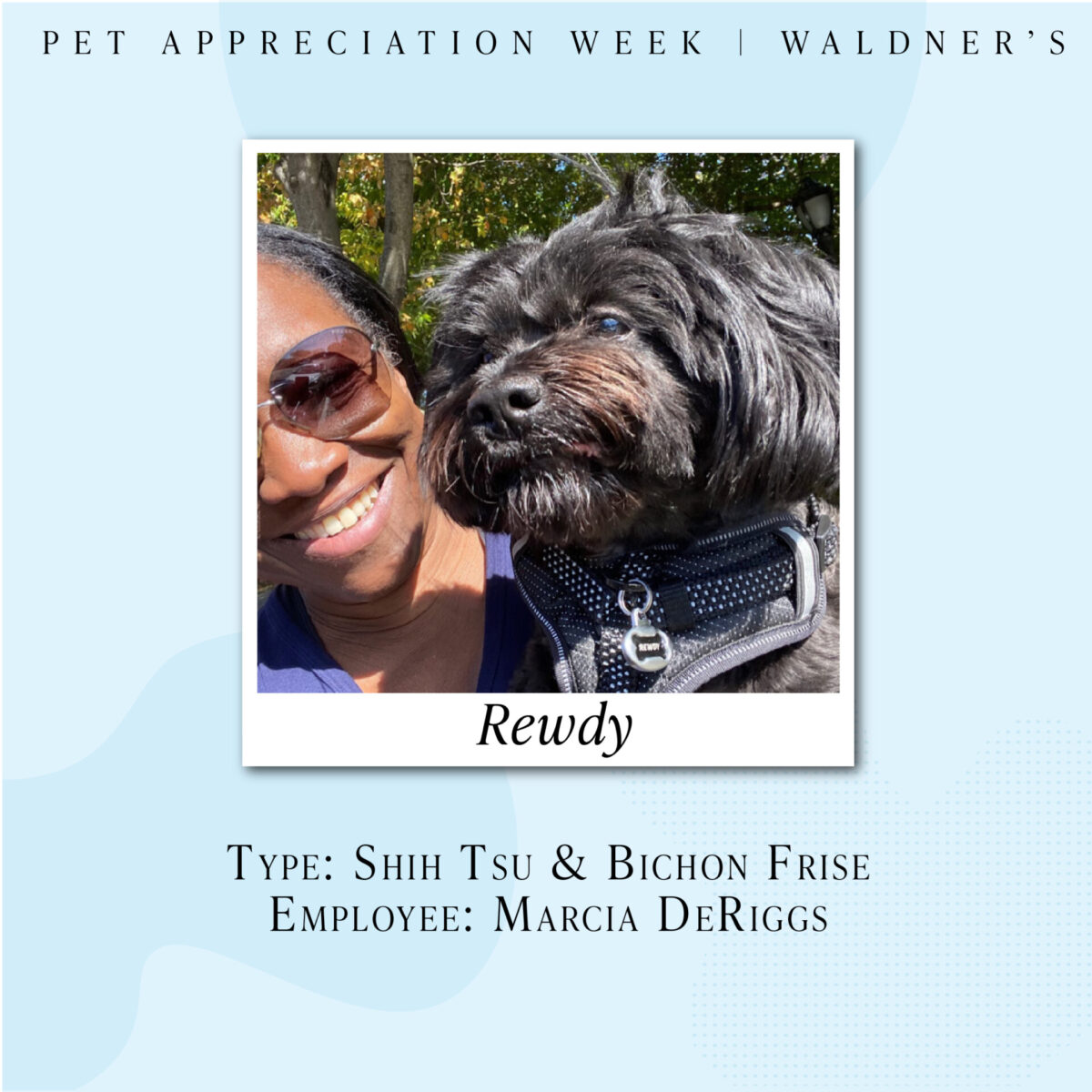 Happy Pet Appreciation Week! - Waldner’s Business Environments