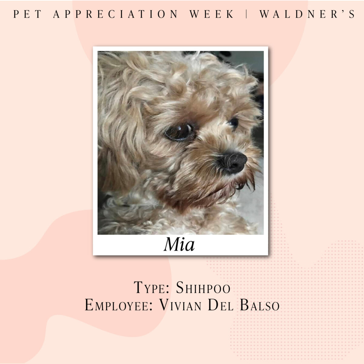 Happy Pet Appreciation Week! - Waldner’s Business Environments