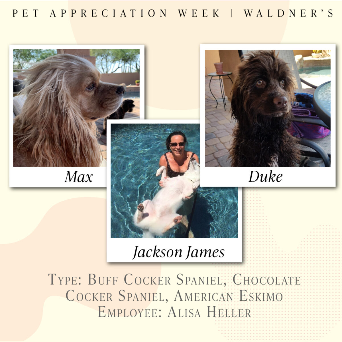 Happy Pet Appreciation Week! - Waldner’s Business Environments