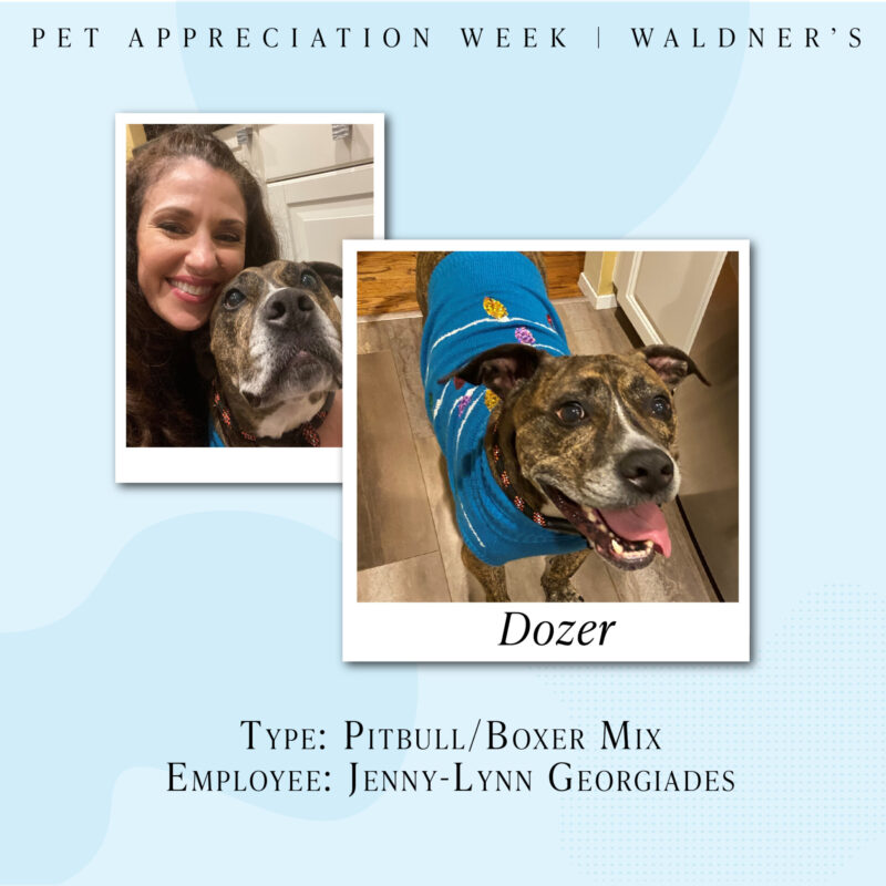 Happy Pet Appreciation Week! - Waldner’s Business Environments